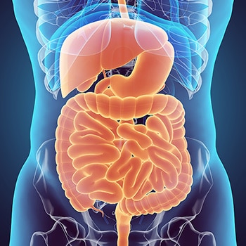 Gastroenterology Clinical Education Hub - CME Outfitters Medical Education